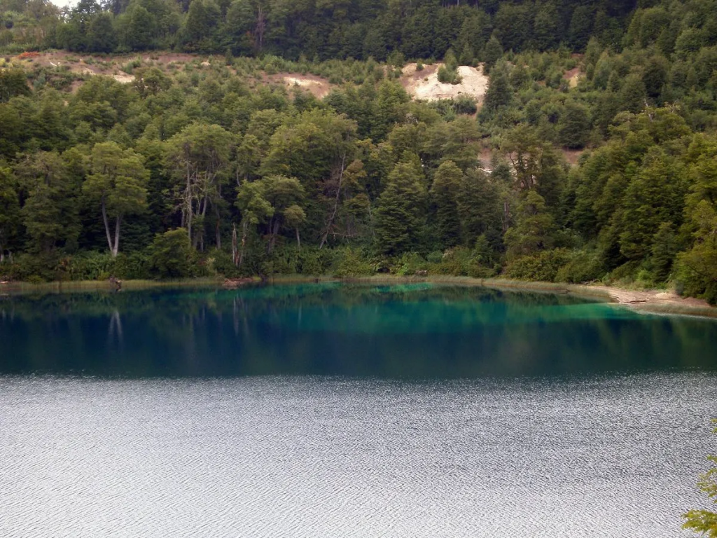 Lago Falkner, un destino imperdible de la Patagonia – BARILOCHE MÁS